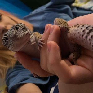 Get Psyched – Stay Psyched